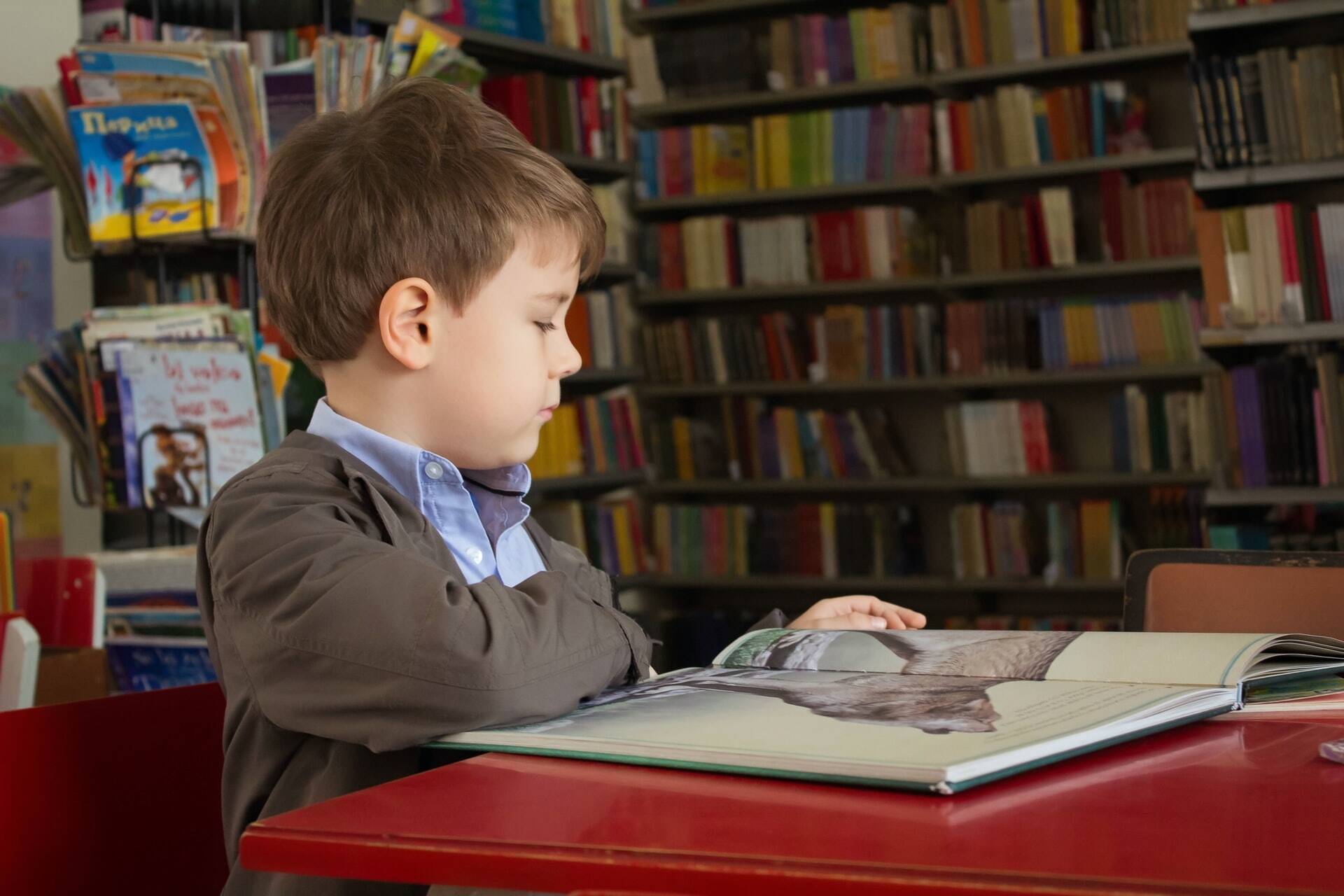 Must read Books For Elementary School Children
